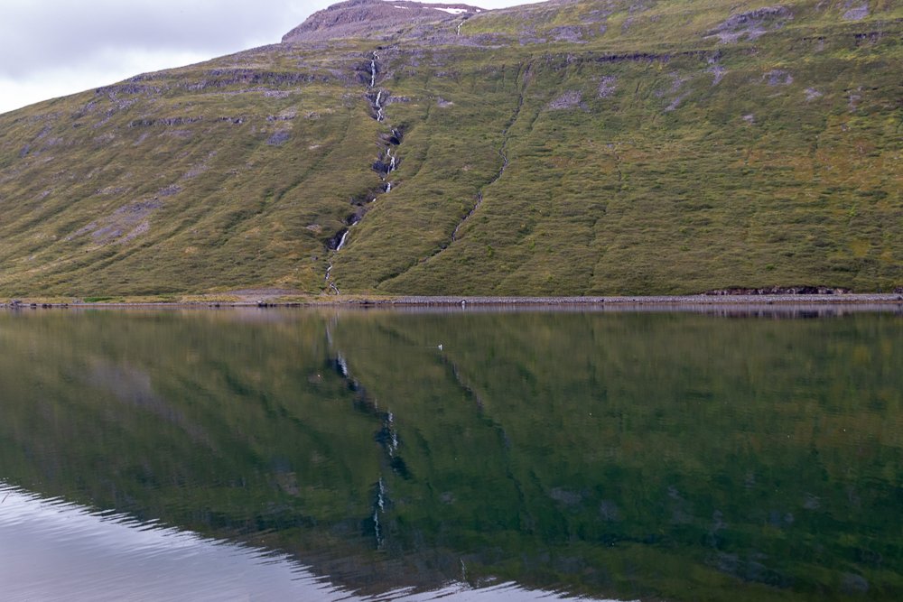 Islanda parte sette-44 – Polpette d'Orso